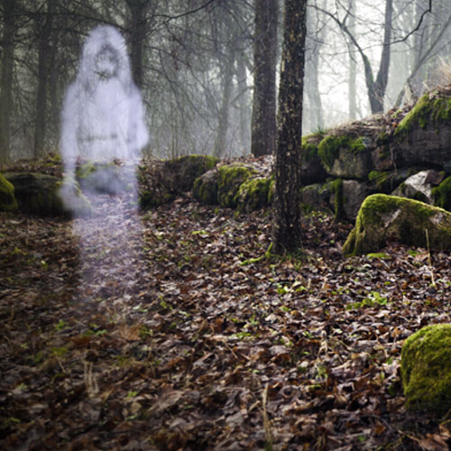 Ghost Spotting - How to Spot a Ghost