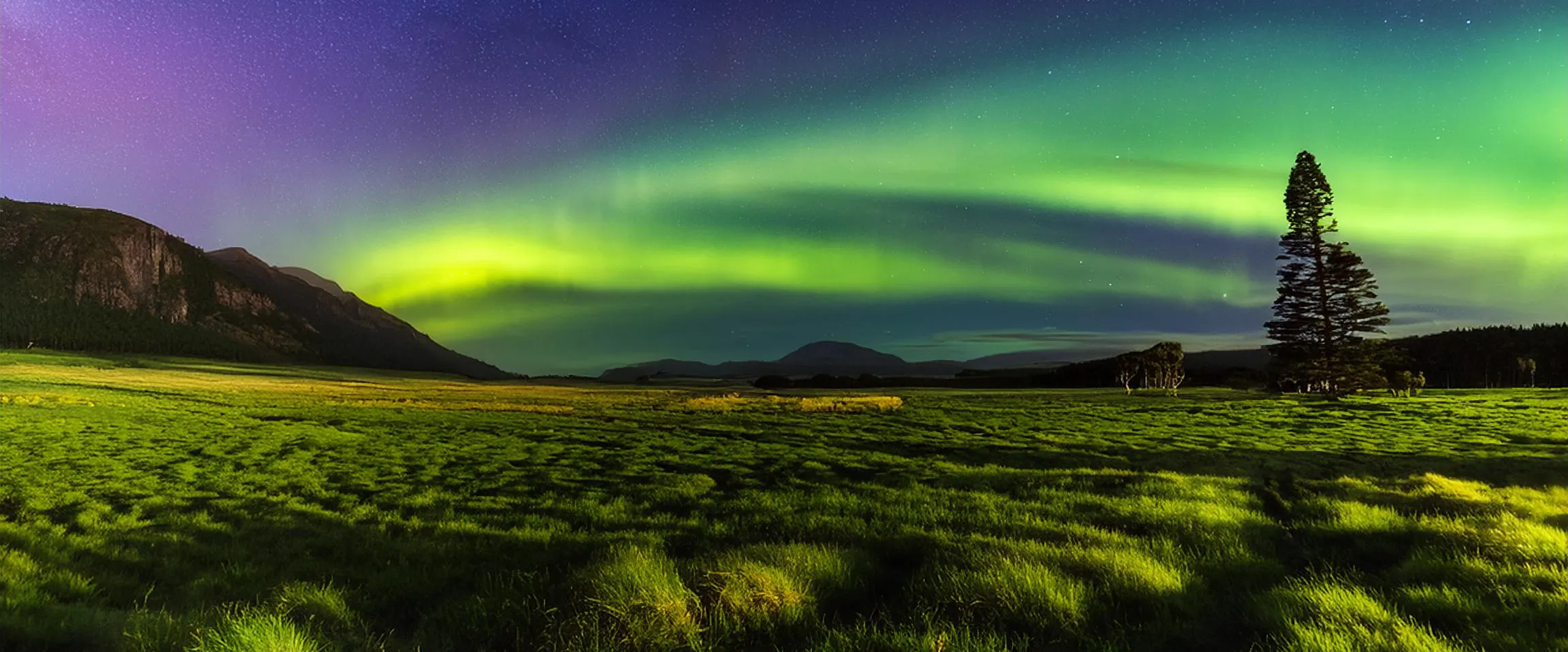 Psychic Readings Online - Phone Psychics - Tarot Readers